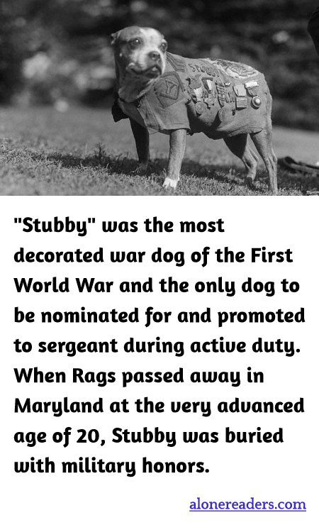 Fast Facts & Insights: Knowledge Cards - AloneReaders.com