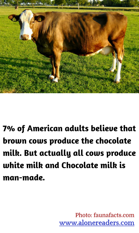 Fast Facts & Insights: Knowledge Cards - AloneReaders.com