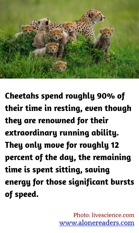 Fast Facts & Insights: Knowledge Cards - AloneReaders.com