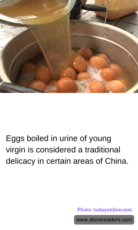 Fast Facts & Insights: Knowledge Cards - AloneReaders.com